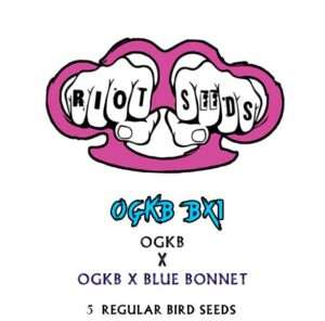 OGKB BX1 V2 (HALF PACK)