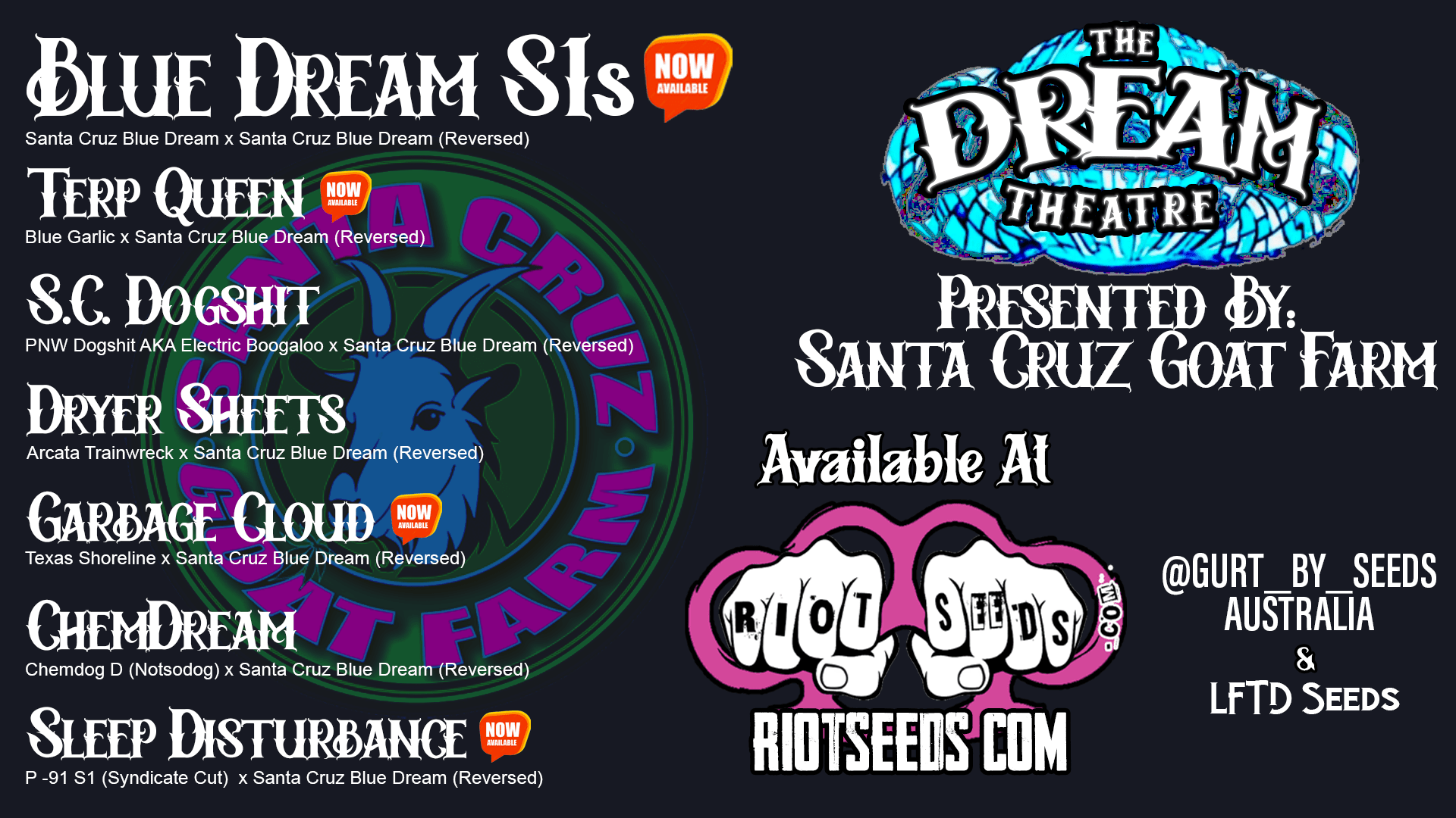 Santa Cruz Blue Dream S1 (Feminized)